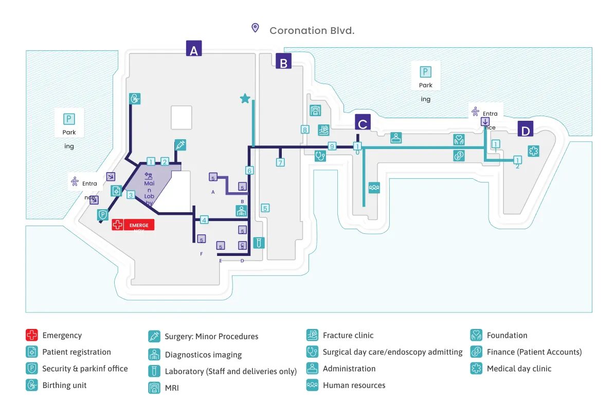 Seniors Health | Cambridge Memorial Hospital